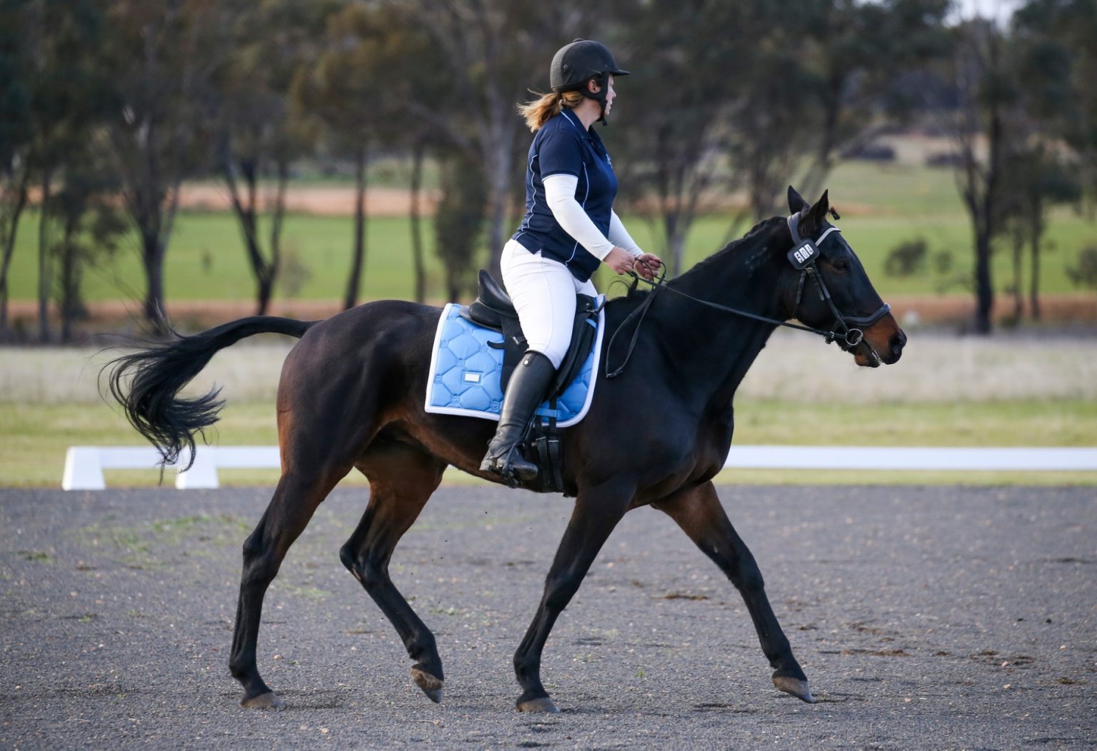 What is HRCAV? Guide to Riding Clubs in Victoria