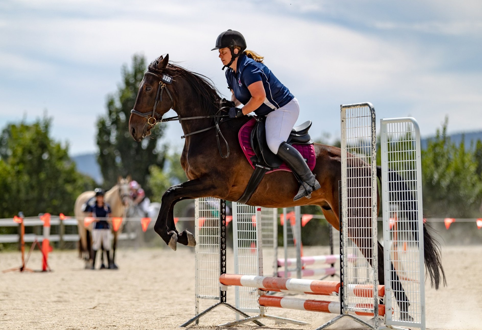 What is HRCAV? Guide to Riding Clubs in Victoria
